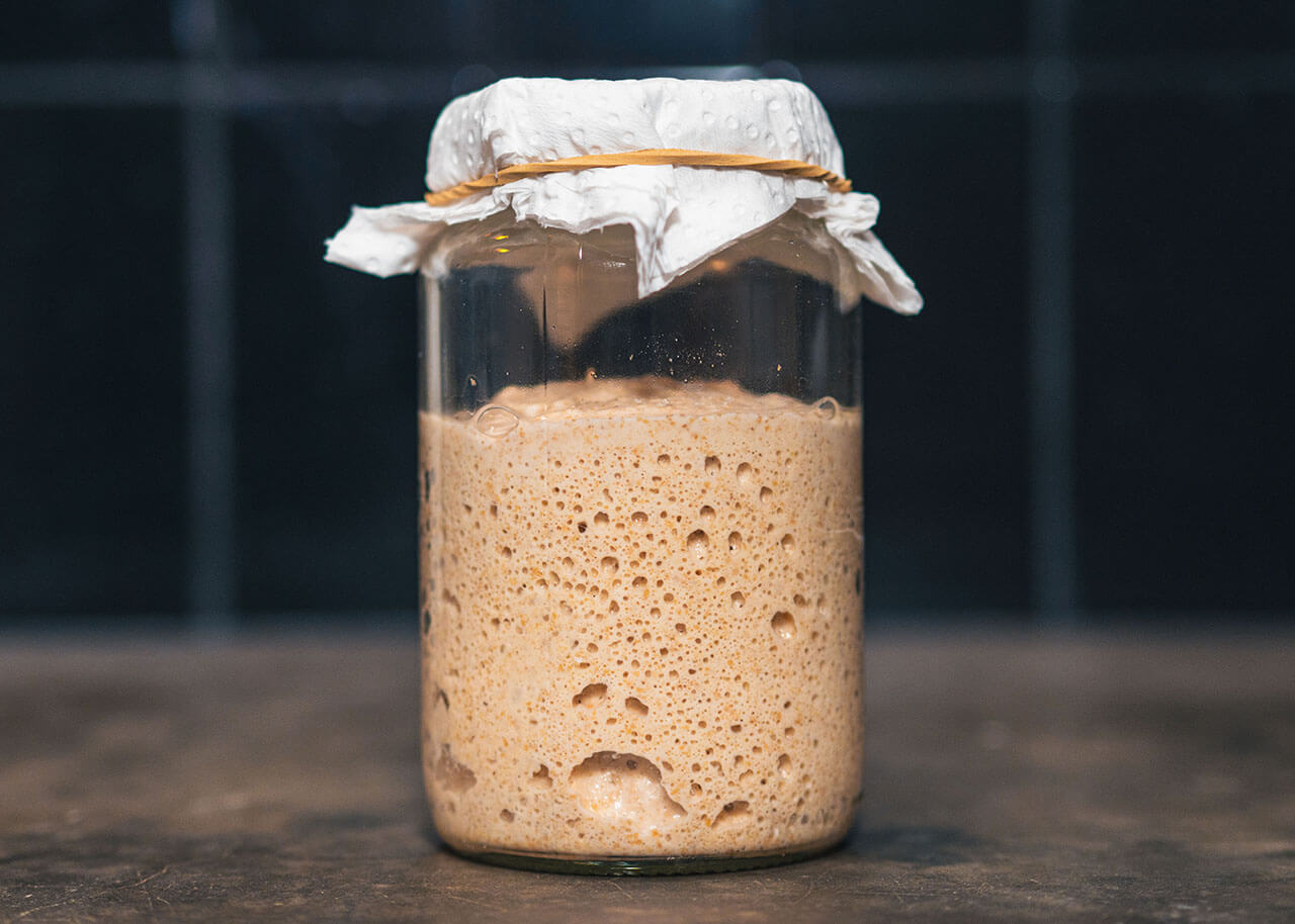 How to Make Sourdough Starter Easy-Level » The Wealthy Baker